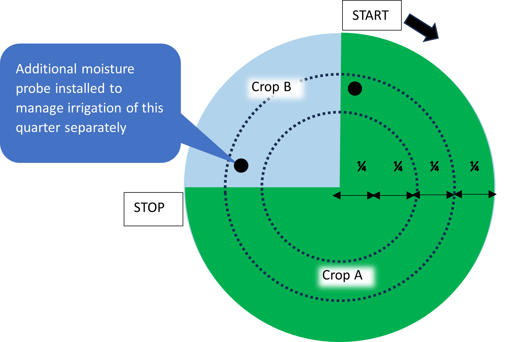 Guidelines for the correct placement of soil moisture probes ...